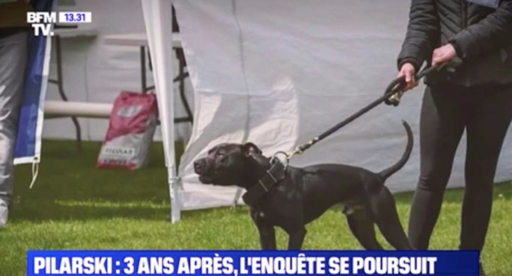 Elisa Pilarski : qu'est devenu le chien Curtis